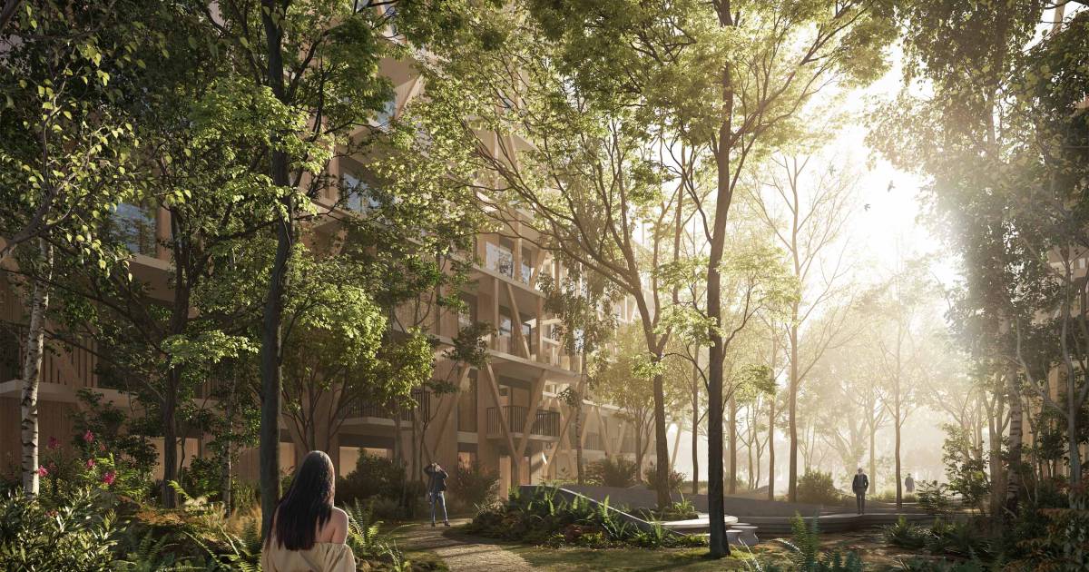 ALTA VERDE - URBAN AGENCY